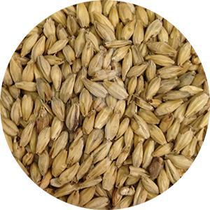 Base Malt – love2brew